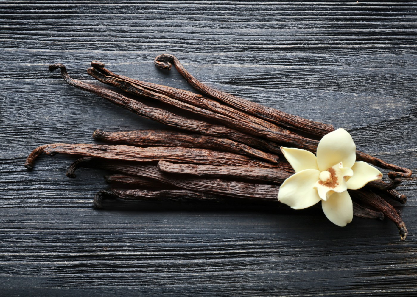 Vanilla-inspired products we think you'll love - Source Mama Vanilla-inspired products we think you'll love - Source Mama
